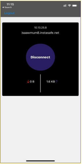 Agent Download & Installation - InstaSafe Documentation Hub
